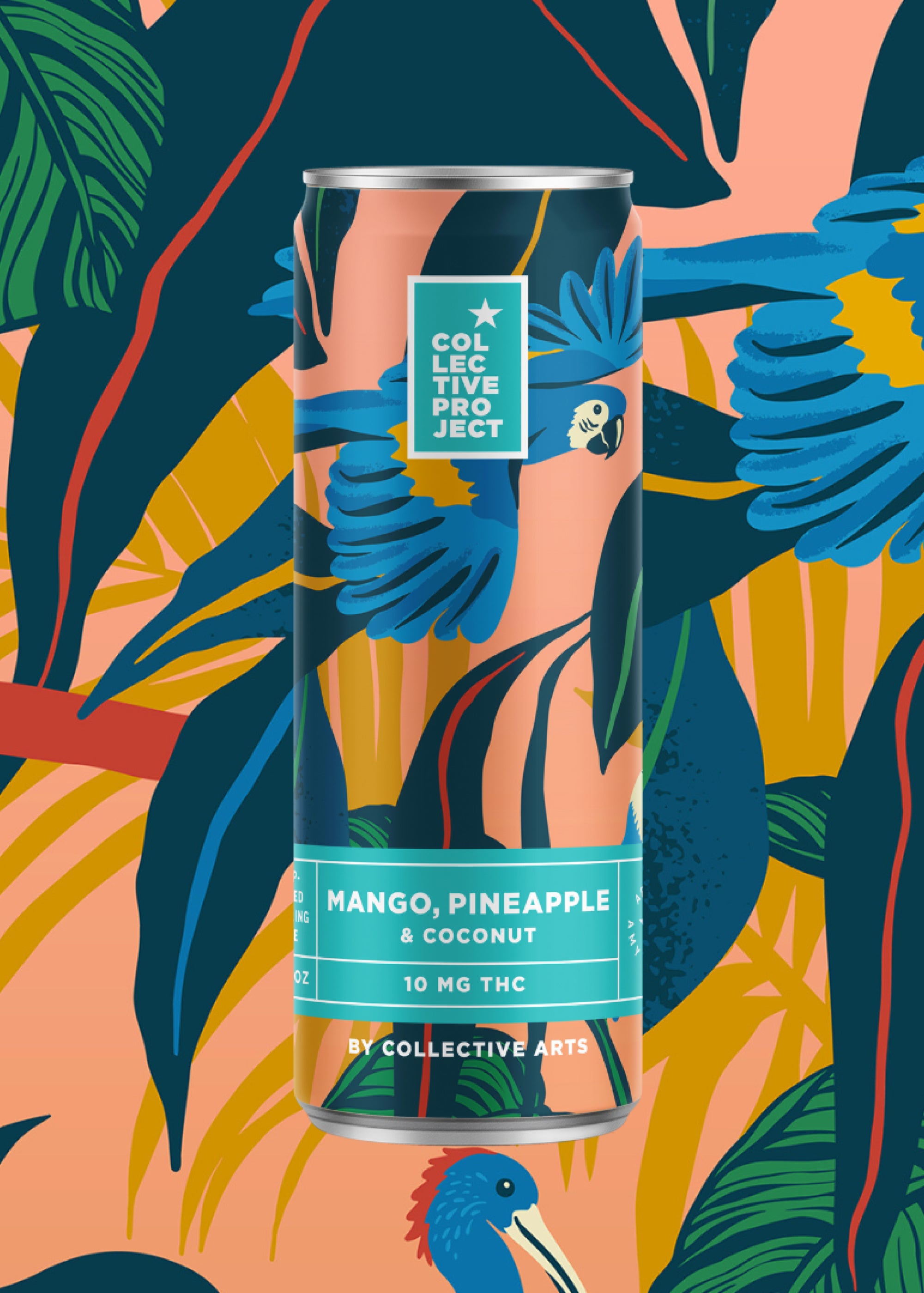 Collective Project USA